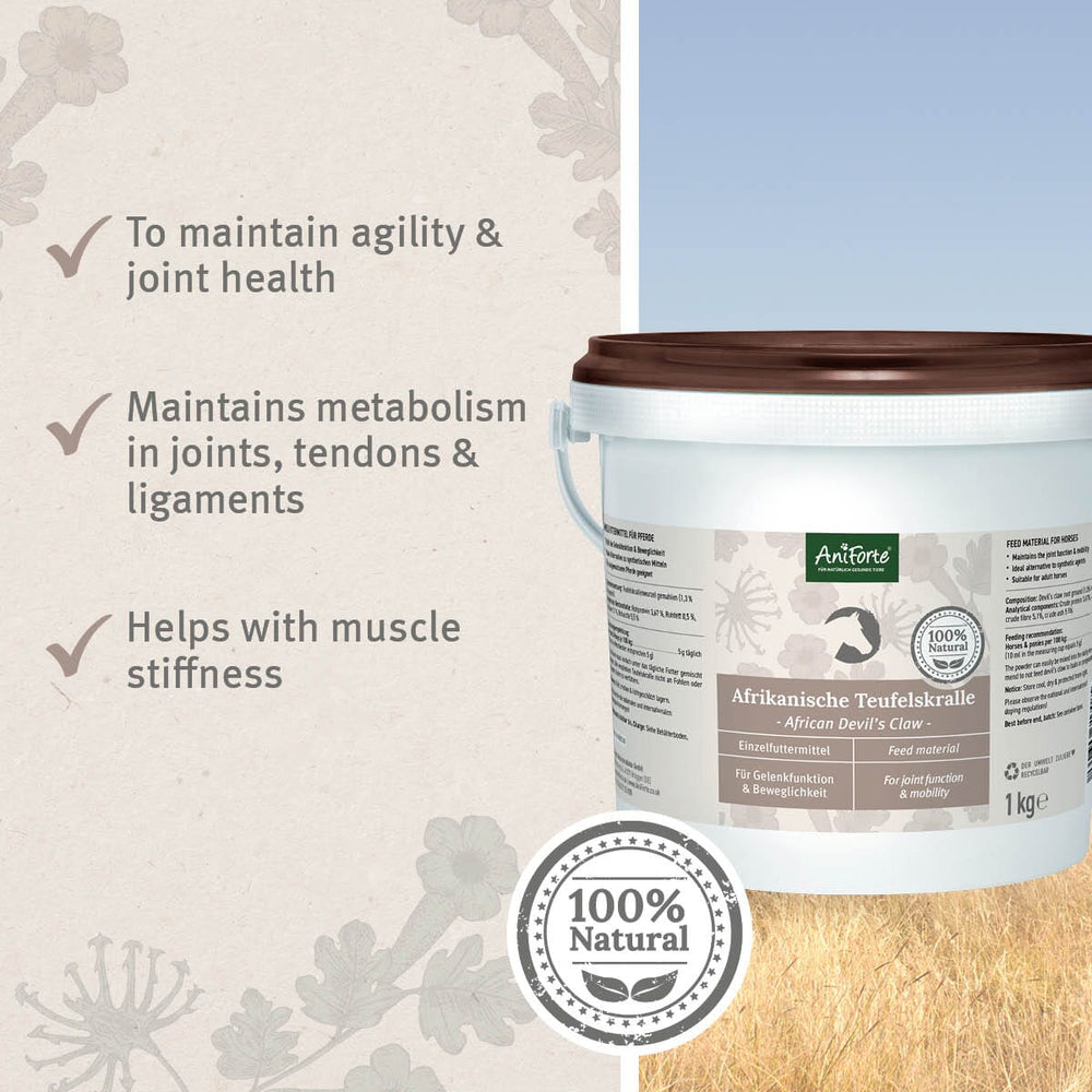 African Devil's Claw for Horses