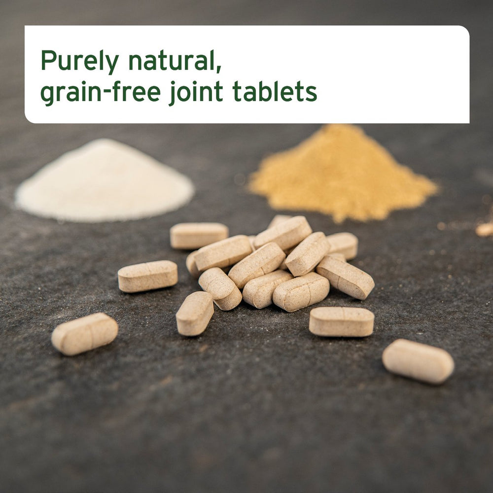 Agility Vet Joint Care Tablets for Dogs - available in two sizes