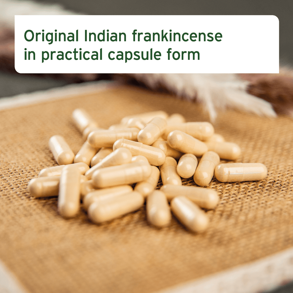 Frankincense (Boswellia) Capsules 100pcs.