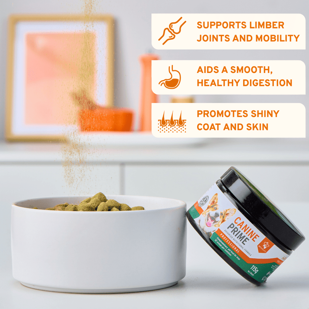 AniForte® Professional Canine Prime | 40-in-1 Superfood Supplement