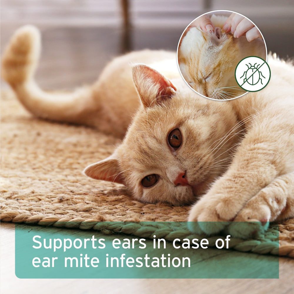 AniForte's Natural Ear Mite Treatment Oil Drops for Dogs & Cats