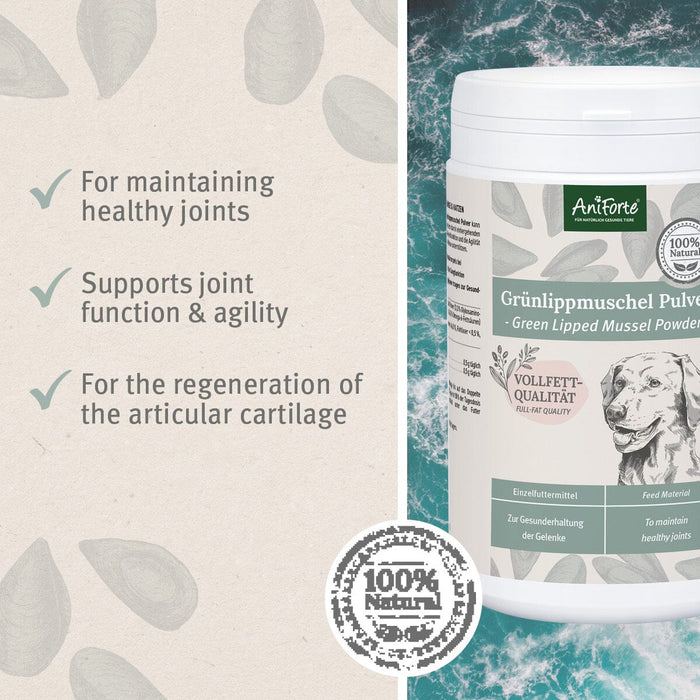 Green Lipped Mussel Powder for Dogs & Cats | Joint Support Supplement