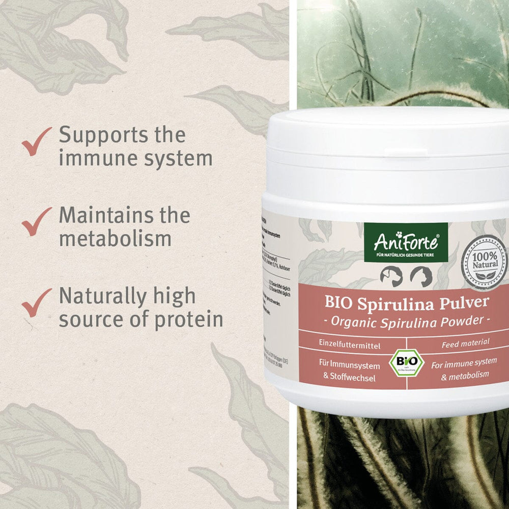 Spirulina for Dogs & Cats in Powder | 100% Natural | AniForte UK